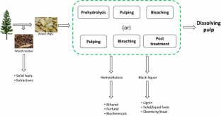 Recent trends and developments in dissolving pulp production and application | SpringerLink