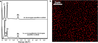 Soy protein nanoparticles modified bacterial cellulose electrospun nanofiber membrane scaffold ...