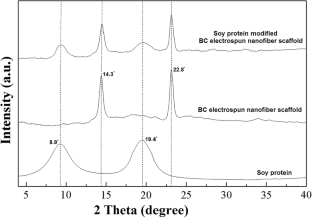 Soy protein nanoparticles modified bacterial cellulose electrospun nanofiber membrane scaffold ...