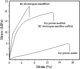 Soy protein nanoparticles modified bacterial cellulose electrospun nanofiber membrane scaffold ...