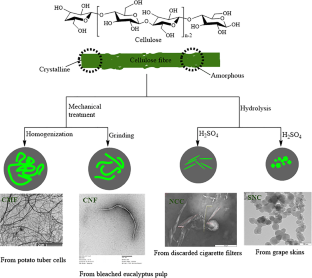 A review of cellulose-based substrates for SERS: fundamentals, design ...