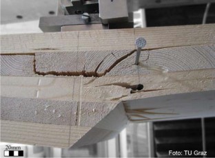 Simulation of the Fire Resistance of Cross-laminated Timber (CLT ...