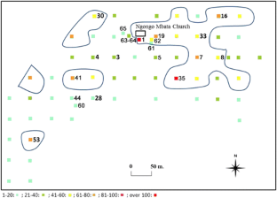 African-European Contacts in the Kongo Kingdom (Sixteenth-Eighteenth ...