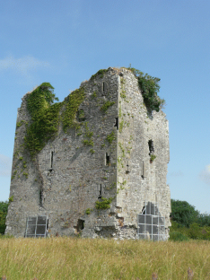Kilcolman Castle, Co. Cork: a New Interpretation of Edmund Spenser’s ...