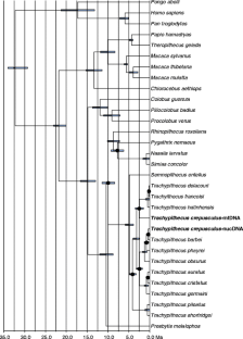 The Hybrid Origin of the Indochinese Gray Langur Trachypithecus ...