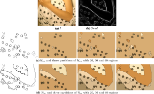 Characterization of Graph-Based Hierarchical Watersheds: Theory and Algorithms | SpringerLink