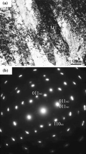 Microstructure and crystallography of 20MnCr5 steel tempered at ...