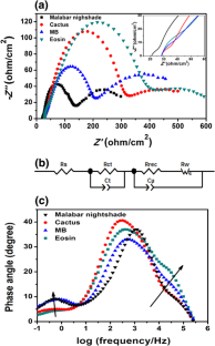 Solvothermal synthesis of hexagonal pyramidal and bifrustum shaped ZnO ...