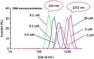 Synthesis of a Cationic BODIPY-Containing Conjugated Polymer for ...