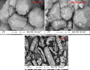 Preparation of ZSM-12 Zeolite from RHS and Its Application for ...