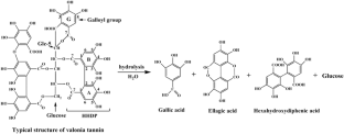 Structural Properties and Copolycondensation Mechanism of Valonea ...