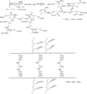 Poly( N,N -dimethylacrylamide- co -acrylamide) Grafted Hydroxyethyl ...