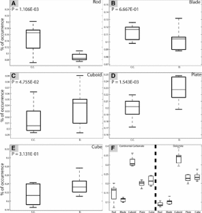 A three-dimensional classification for mathematical pore shape description in complex carbonate ...
