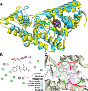 Design and synthesis of novel spirooxindole–indenoquinoxaline ...