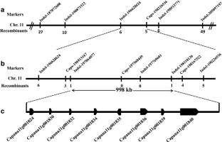 Mapping and identifying candidate genes involved in the novel ...