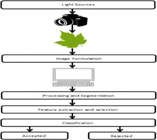 Study of digital image processing techniques for leaf disease detection ...