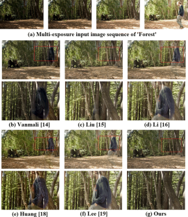 Detailed and enhanced multi-exposure image fusion using recursive filter | SpringerLink