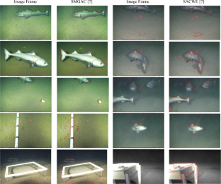Saliency-based classification of objects in unconstrained underwater environments | SpringerLink