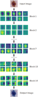 A multi-class skin Cancer classification using deep convolutional neural networks | SpringerLink