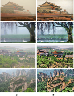 The Retinex-based image dehazing using a particle swarm optimization method | SpringerLink