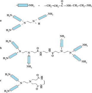 Bioapplications of poly(amidoamine) (PAMAM) dendrimers in nanomedicine ...