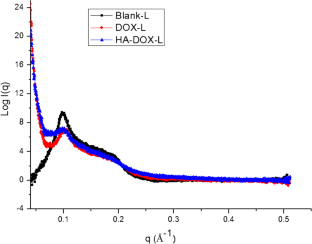 Hyaluronic acid-coated liposome for active targeting on CD44 expressing ...