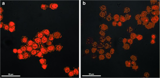 Hyaluronic acid-coated liposome for active targeting on CD44 expressing ...