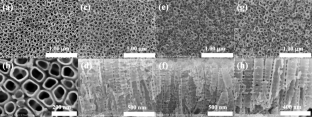 TiO 2 nanotube arrays modified with nanoparticles of platinum group ...