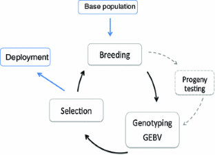 Genomic selection in forest tree breeding: the concept and an outlook to the future | SpringerLink