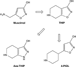 Muscimol as an Ionotropic GABA Receptor Agonist | SpringerLink