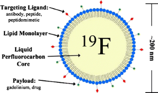 Liquid Perfluorocarbons as Contrast Agents for Ultrasonography and 19 F ...