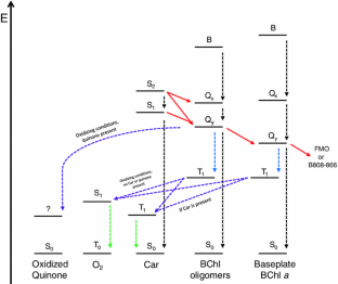 Chlorosome antenna complexes from green photosynthetic bacteria ...