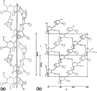 Molecular structure of hyaluronan: an introduction | SpringerLink