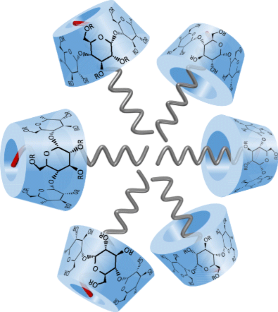 Cyclodextrin-Lipid Complexes: Cavity Size Matters | SpringerLink