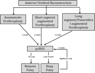Novel pericatheter retrograde urethrogram technique is a viable method ...