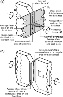 Experimental Characterization of the Shear Properties of 3D–Printed ABS ...