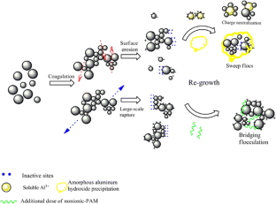 Breakage and regrowth of flocs formed by sweep coagulation using ...
