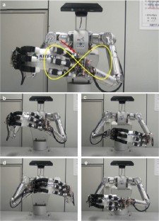 Design of an anthropomorphic dual-arm robot with biologically inspired ...