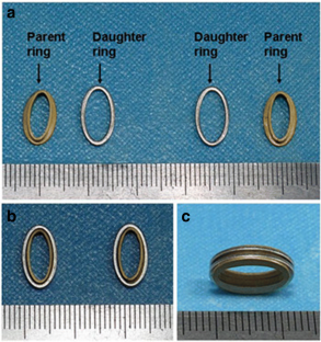 Magnetic Anastomosis Rings to Create Portacaval Shunt in a Canine Model ...