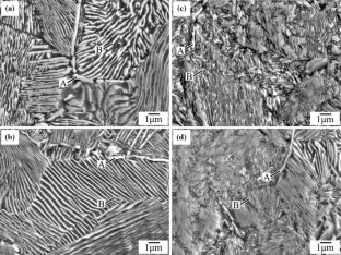 Microstructure of Hot Rolled 1.0C-1.5Cr Bearing Steel and Subsequent ...