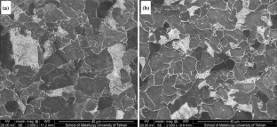 Evolution of Pearlite Microstructure in Low-Carbon Cast Microalloyed ...