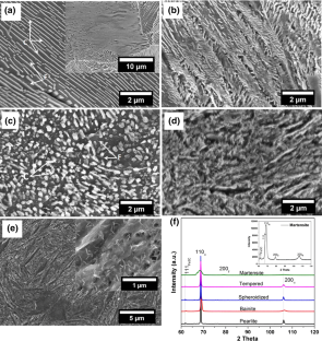 Comparative Corrosion Behavior of Five Microstructures (Pearlite ...