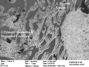 Microstructural Modifications of As-Cast High-Chromium White Iron by Heat Treatment | SpringerLink