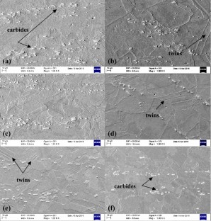 Effect of Heat Treatment Parameters on the Microstructure and ...