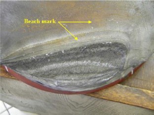 Investigation of the Shaft Failure Connected to Extruder | SpringerLink