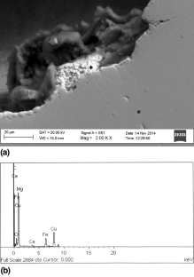 Metallurgical Analyses of Surface Defects in Cold-Rolled Steel Sheets ...