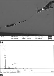 Metallurgical Analyses of Surface Defects in Cold-Rolled Steel Sheets ...
