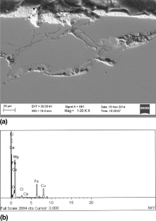 Metallurgical Analyses of Surface Defects in Cold-Rolled Steel Sheets ...
