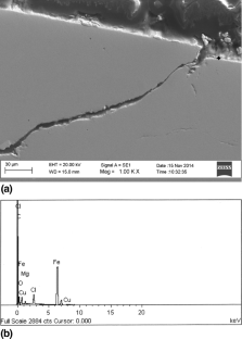 Metallurgical Analyses of Surface Defects in Cold-Rolled Steel Sheets ...