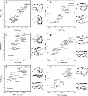 The Role of Evolutionary Integration in the Morphological Evolution of ...